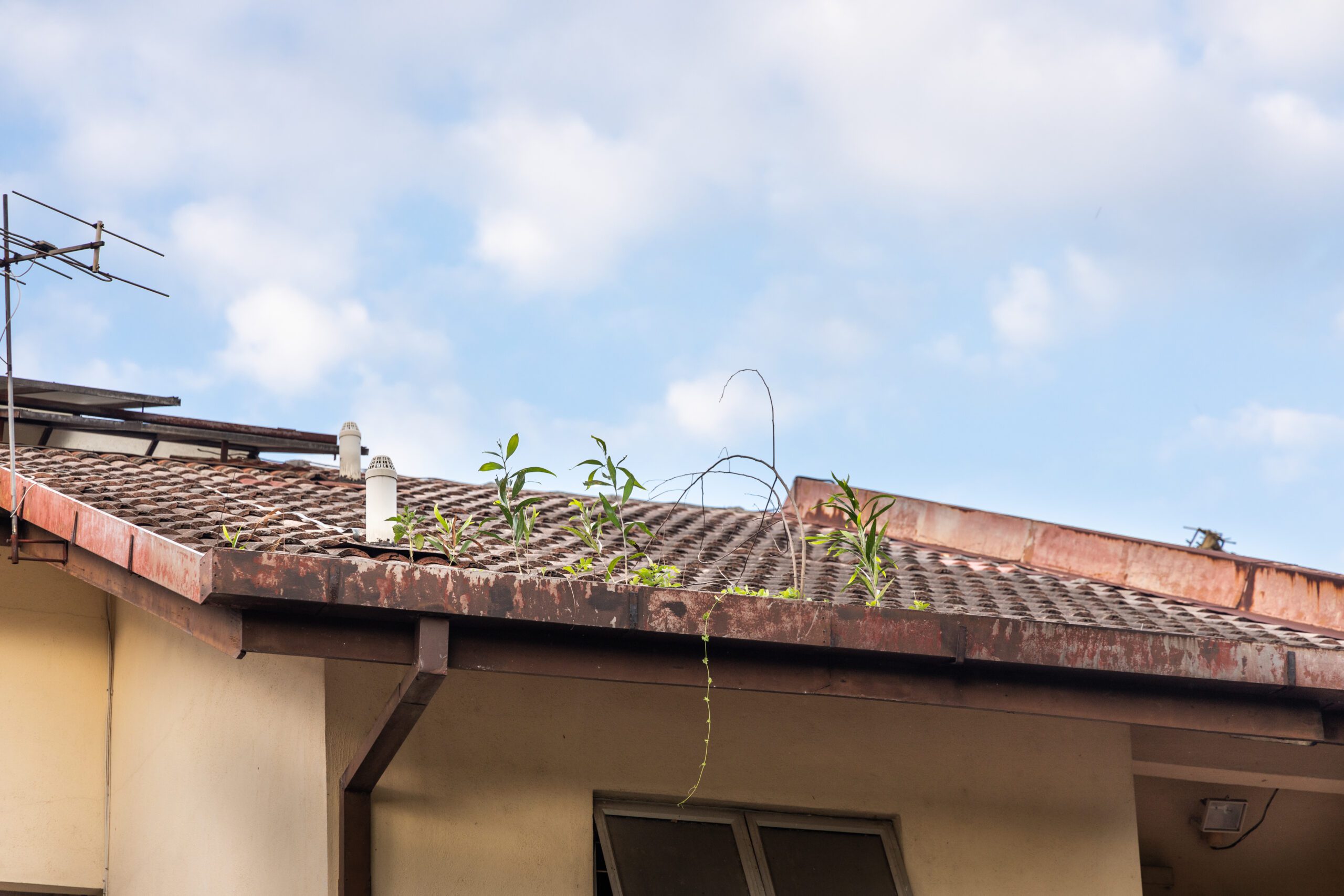 How to Prevent Weeds from Growing in Your Gutters | Gutter Maintenance ...