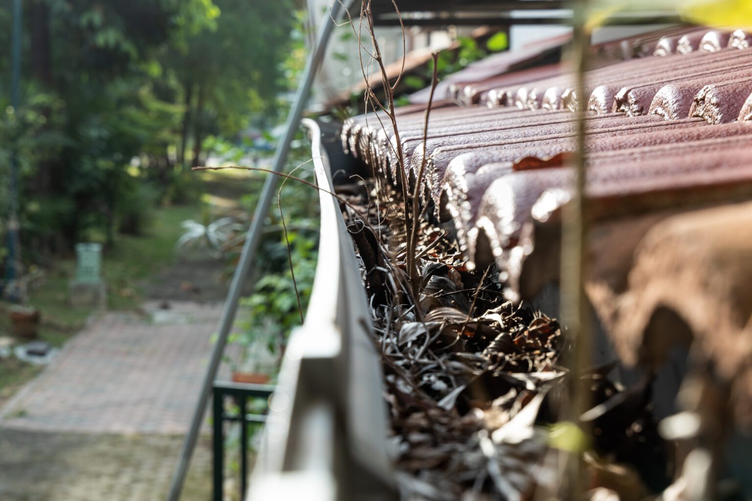 How to Prevent Weeds from Growing in Your Gutters | Gutter Maintenance ...